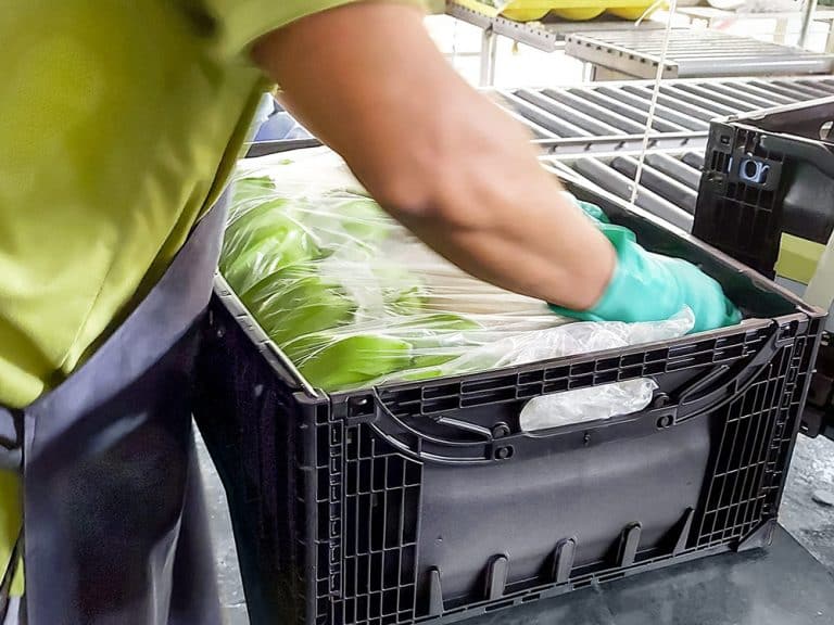 The Reusable Revolution: Why Plastic Crates are Taking Over Europe