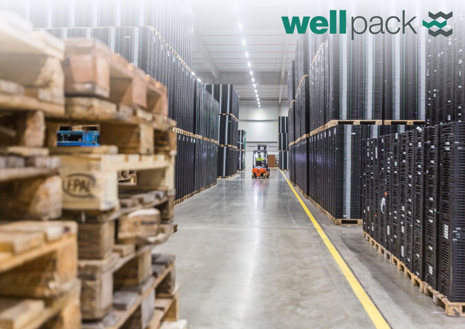 Decoding Logistics Costs: How to Calculate Logistics Costs and Maximize ...